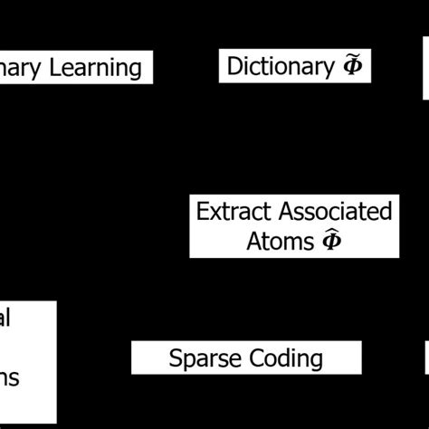 The Figure Illustrates The Flow Of The Dictionary Learning Framework