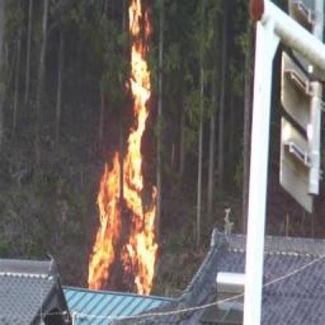 Mytest Object Detection Dataset V2 2024 05 28 11 35am By Mytyolov8