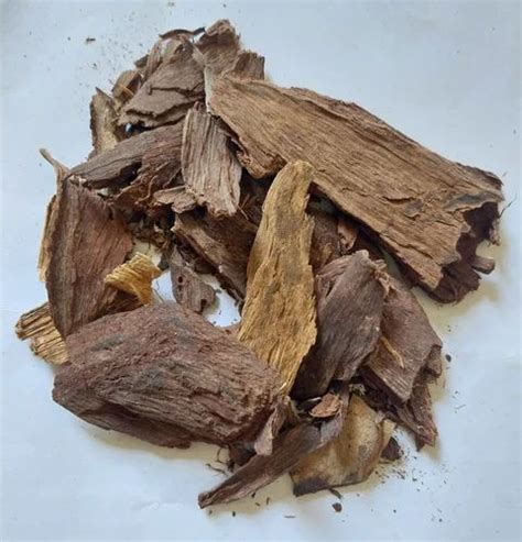 Terminalia Arjuna Extract Root Packaging Type Loose At ₹ 75kg In Udham Singh Nagar