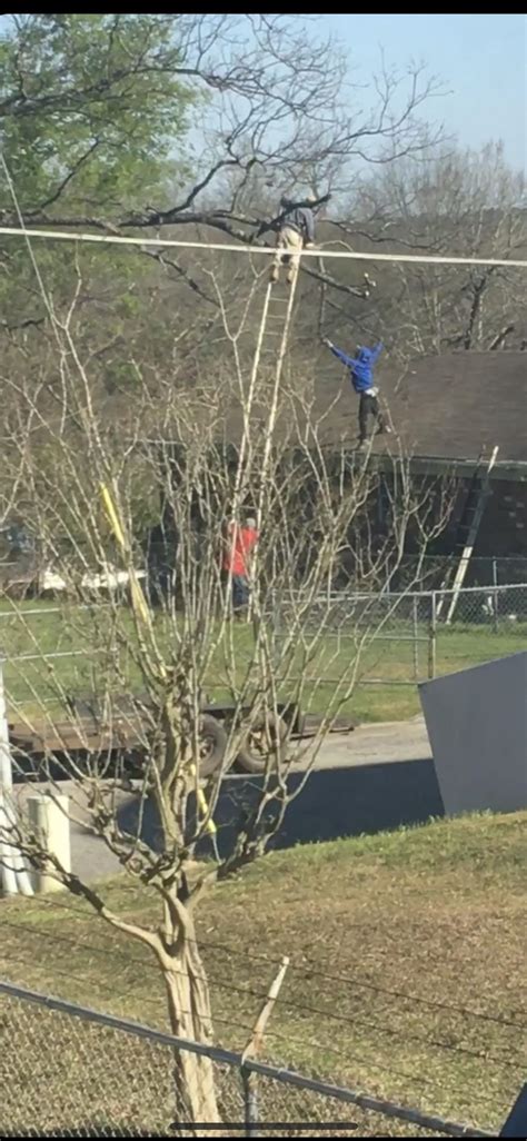 Professional Tree Cutters R Osha