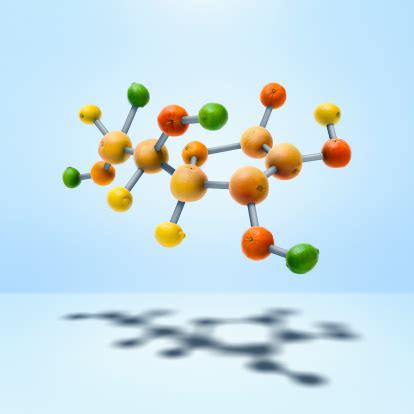 Difference Between Protein Synthesis And DNA Replication