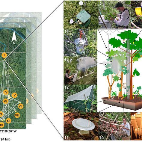 Overview Of The Sampling Design Three Major Spatio Temporal Dimensions