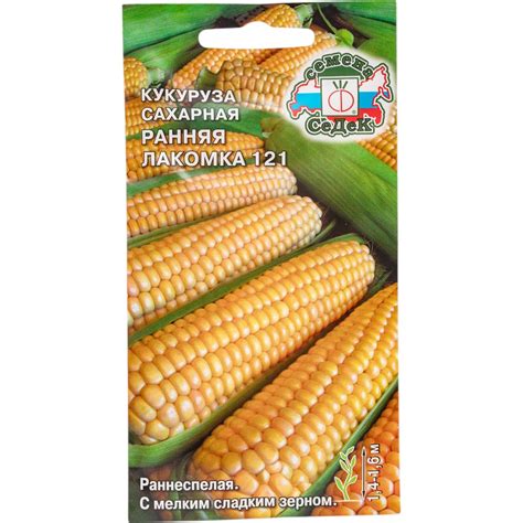 Кукуруза СеДек Ранняя Лакомка 121 сахарная, раннеспелая, початок ...