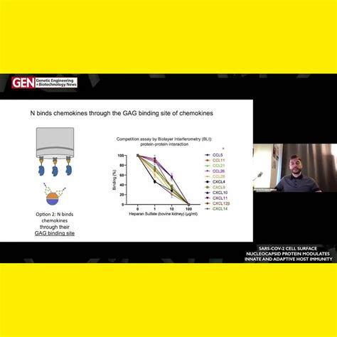 Cell Surface Sars Cov 2 Nucleocapsid Protein Modulates Innate And Adaptive Host Immunity Gated Page