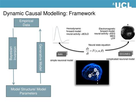 Ppt Dynamic Causal Model For Steady State Responses Powerpoint