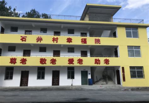 农村幸福院简介模板6 农村简约小二合院图片 大山谷图库