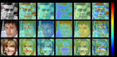 Visualization Of Self Attention Maps From The First Block Of HR And LR