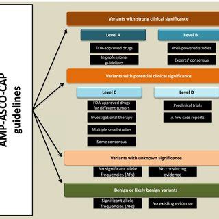 The Current 2017 Consensus Guidelines For Genetic Variant Download Scientific Diagram