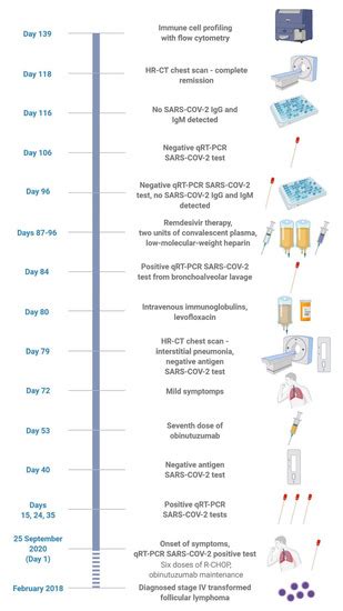 Successful Treatment Of Persistent Sars Cov 2 Infection In A B Cell Depleted Patient With