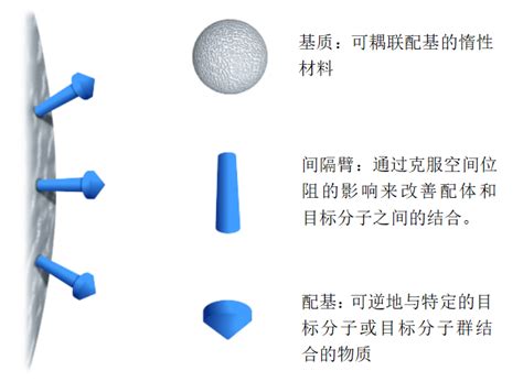 亲和层析介质纯干货分享 北京百奥创新科技有限公司