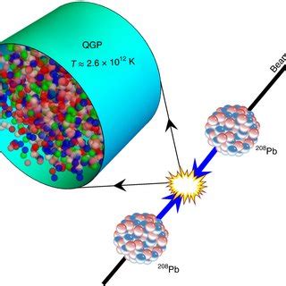 Schematic representation of a ²⁰⁸Pb²⁰⁸Pb collision at the LHC The Download Scientific Diagram