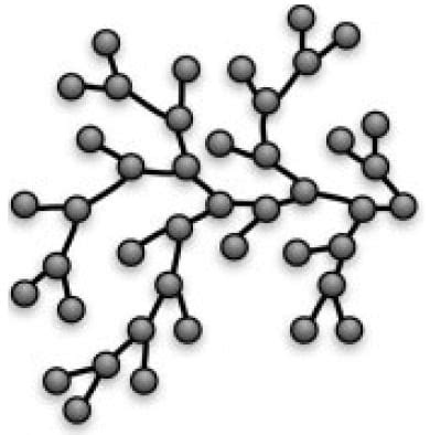 Random Branching Theory Advanced Science News