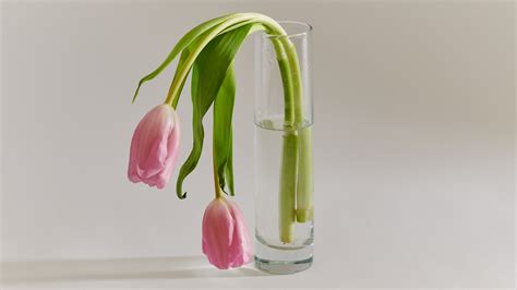 How Do I Get My Sex Drive Back The New York Times