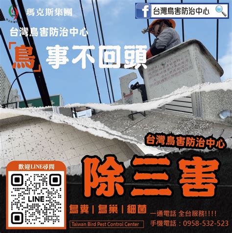 小鳥總是喜歡在你家留下鳥糞、鳥巢和細菌嗎 台灣鳥害防治中心（一通電話全台服務）
