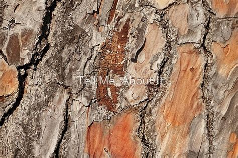 Tree Bark Art By Tell Me About It Redbubble