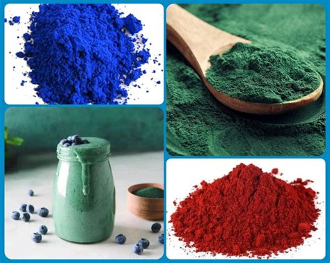 Linkedin Dr Ambika H D 페이지 Algae Microalgae Bioactive Bioactive Foodindustry Nutrition