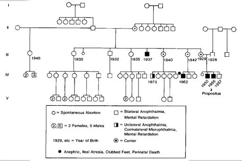 Figure 1 From Sex Linked Hereditary Bilateral Anophthalmos Pathologic Figure 1 From Sex Linked Hereditary Bilateral Anophthalmos Pathologic