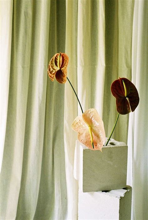 Exploring Spatial Design With Multidisciplinary Creative Lilo