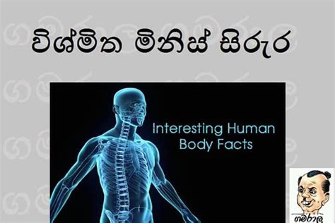 මීටරේ Meetare මිනිස් සිරුර පිළිබද ඔබ නොදත් තොරතුරු