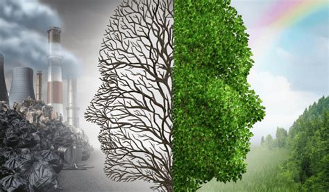 The Interest Based Relational Approach Ibra Welbee Toolkit