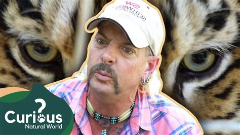 Joe Exotic Tiger Farm At Jamison Brown Blog