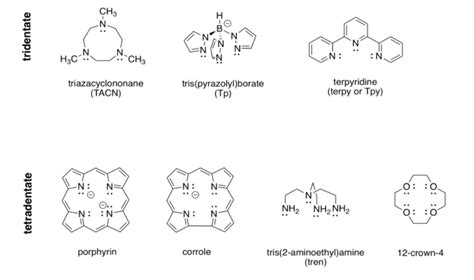 24 Chelation Chemistry Libretexts