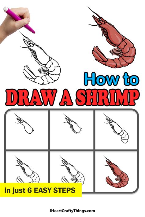 Easy Shrimp Drawing Shrimp Gang S All Here Of Each