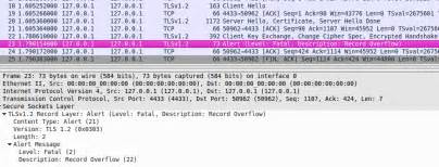 On Web Security And Insecurity Curious Padding Oracle In Openssl Cve