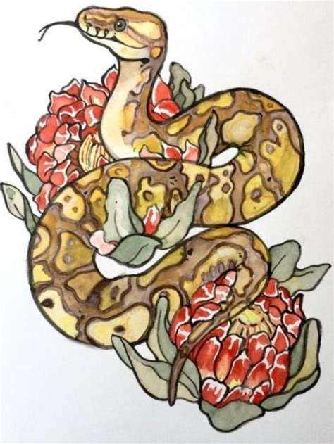 Cute Ball Python Drawing