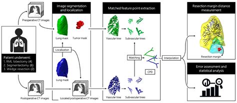 Cancers Free Full Text Quantification Of Resection Margin Following