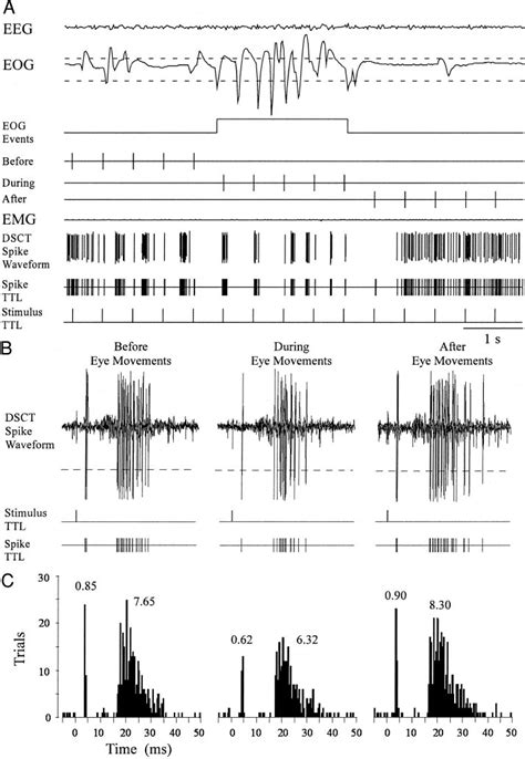Methods Used To Analyze Sciatic Nerveevoked Spike Activity From A Dsct Download Scientific
