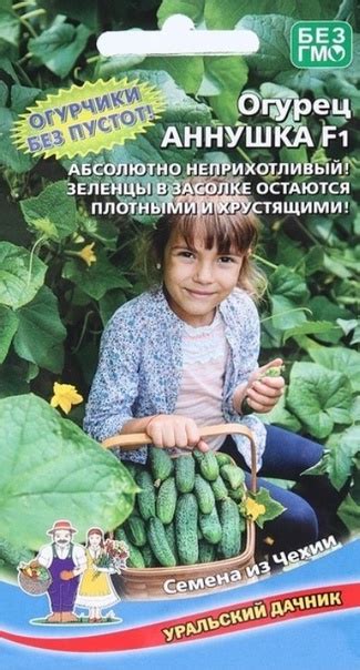 Семена огурец Аннушка. 35р. Абсолютно неприхотливый раннеспелый гибрид ...