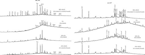 The Mz 191 And Mz 217 Trace Of Saturated Hydrocarbons Obtained By