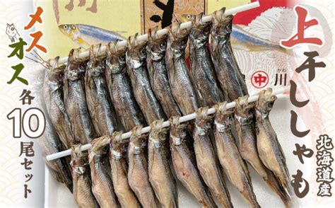 ＜北海道産＞上干ししゃも メス・オスセット 【 ししゃも シシャモ 魚 セット 無添加 無着色 】 Mkwz011 北海道むかわ町