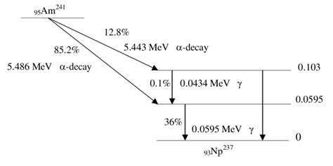 Radioactive Decay Scheme Of 241 Am 2 Download Scientific Diagram