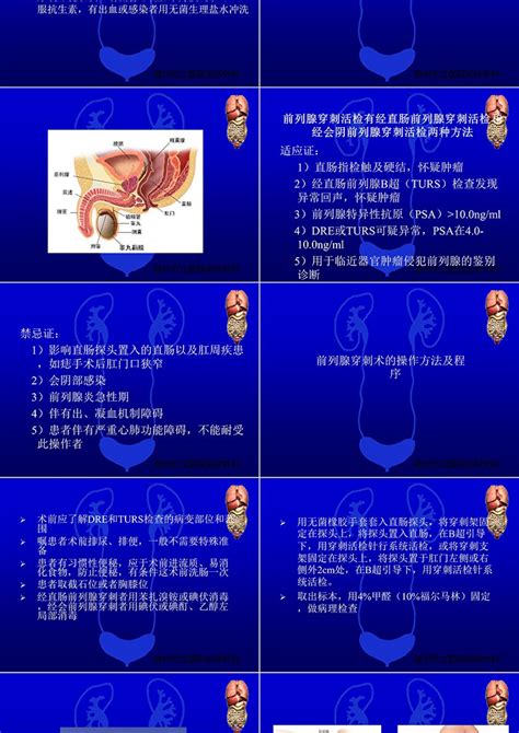 泌尿外科临床技术操作规范ppt模板卡卡办公