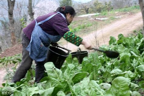 2018年國家要給農村這3種人發五保補貼了，快看看有你嗎 每日頭條