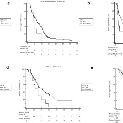 Schema Of Roux En Y Hepaticojejunostomy And Eus Guided Approach To The