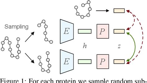 Figure 1 From Contrastive Representation Learning For 3d Protein Structures Semantic Scholar