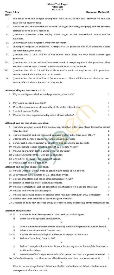 Computer Sample Paper Class 12 2023 Pseb At Samantha Atherton Blog