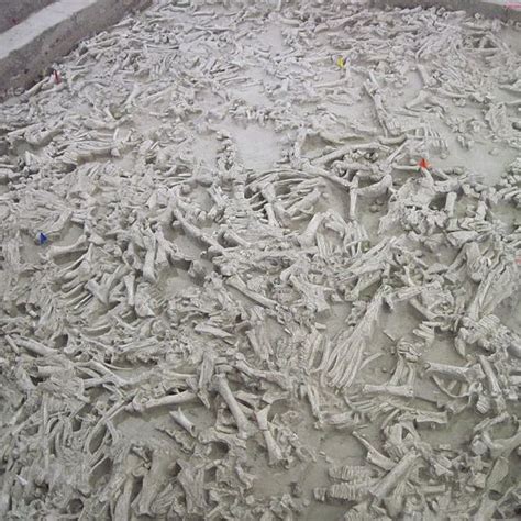 Hudson Meng Bison Kill Harrison Nebraska Atlas Obscura