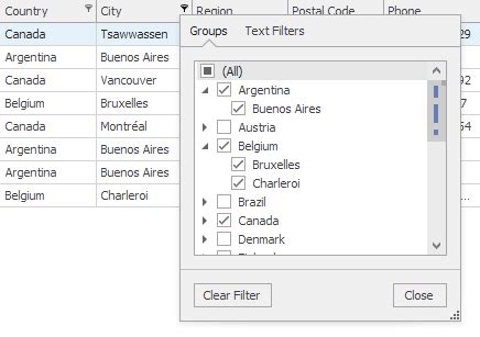 OptionsColumnFilter PopupExcelFilterGrouping Property WinForms Controls DevExpress Documentation