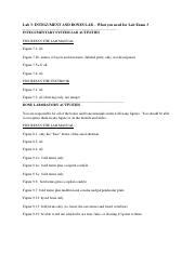 Skin Bones Pdf Lab INTEGUMENT AND BONES LAB What You Need For Lab Exam INTEGUMENTARY