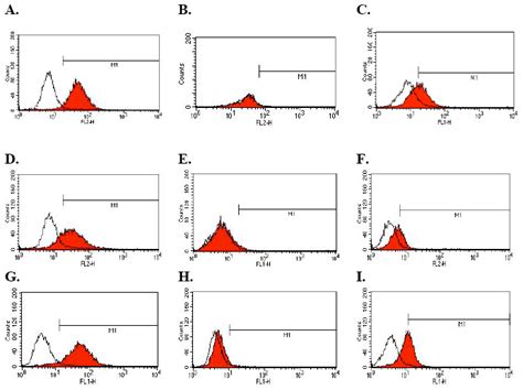 Facs Analysis Of Schwann Cell Marker Expression Schwann Cells