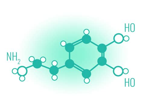 How Dopamine Shapes Learning Unveiling The Brains Secrets