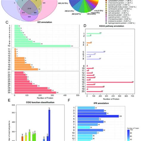Functional Annotation Of Proteins A Venn Diagram Showing The Download Scientific Diagram