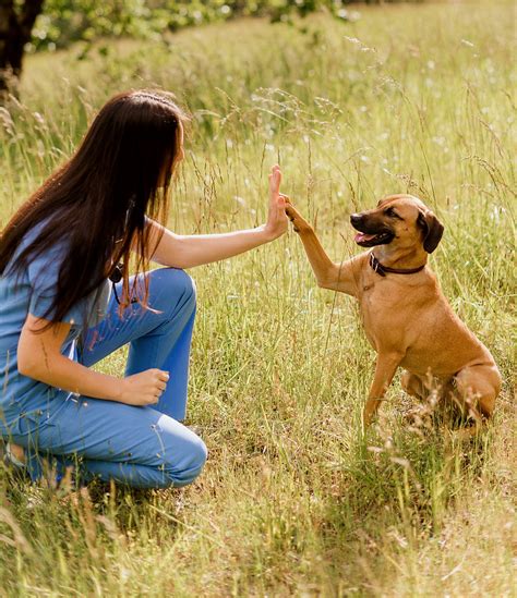Positive Reinforcement Training