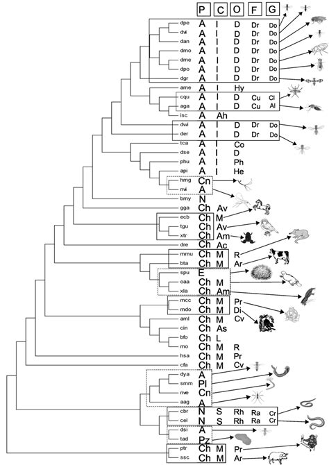 The Constructed Trees Download Scientific Diagram