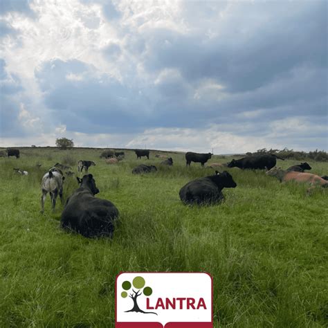 Lantra Non Technical Skills In Farming E Learning Utass