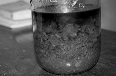 Traditional Sloe Gin Recipe Eatweeds Handmade By Robin Harford